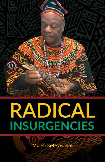 Radical Insurgencies - Universal Write Publications